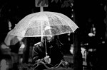 Transparent Things (43 photos) | KLYKER.COM
