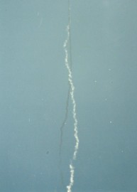 Unpublished Challenger Disaster Photos (26 photos) | KLYKER.COM