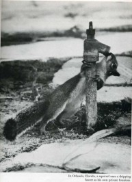 Interesting Historical Photos from the LIFE Magazine | KLYKER.COM