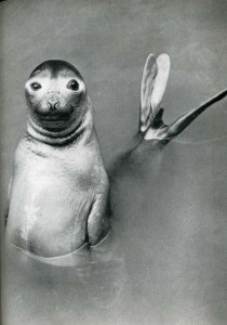 Interesting Historical Photos from the LIFE Magazine | KLYKER.COM