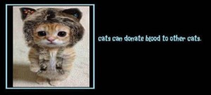 45 Unbelievable but True Facts (45 photos) | KLYKER.COM