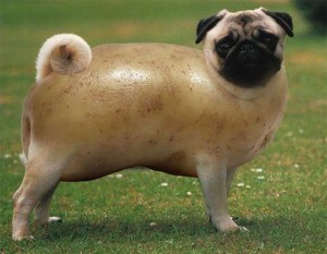 34 Obviously Photoshopped Photos (34 photos) | KLYKER.COM