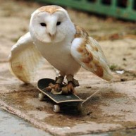 Some Really Cool Animals (33 photos) | KLYKER.COM