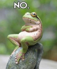 Some Really Cool Animals (33 photos) | KLYKER.COM