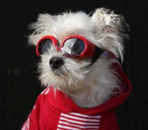 Some Really Cool Animals (33 photos) | KLYKER.COM