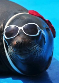 Some Really Cool Animals (33 photos) | KLYKER.COM