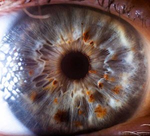 Human Eye Under a Microscope (21 photos) | KLYKER.COM