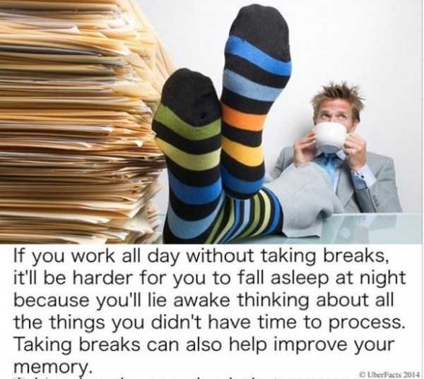 Random Facts You Might Find Amusing 21 Photos KLYKER COM Random Facts You Might Find Amusing 21 Photos KLYKER COM