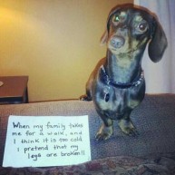 41 Reliable Signs It's Too Cold Outside (41 photos) | KLYKER.COM