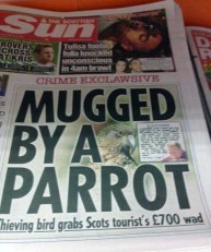 Some Strange Yet Funny Things Seen in Scotland (60 photos) | KLYKER.COM