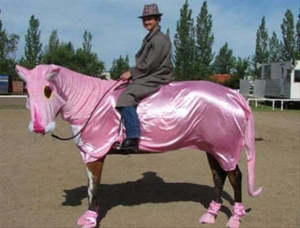 Internet Weirdness at its Finest (54 photos) | KLYKER.COM