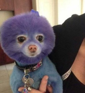 31 Hard-to-Explain Strange Photos | KLYKER.COM