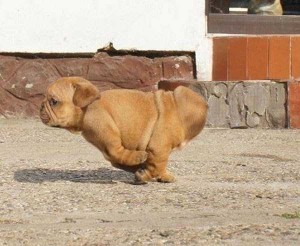 Oddly Funny Photoshopped Photos (39 photos) | KLYKER.COM