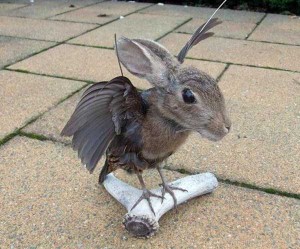 Frighteningly Creepy Taxidermy | KLYKER.COM