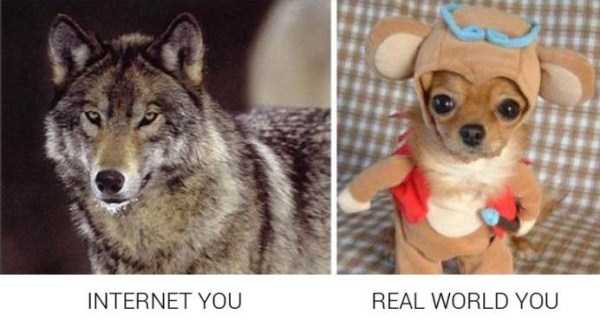 You Online vs Real Life You | KLYKER.COM