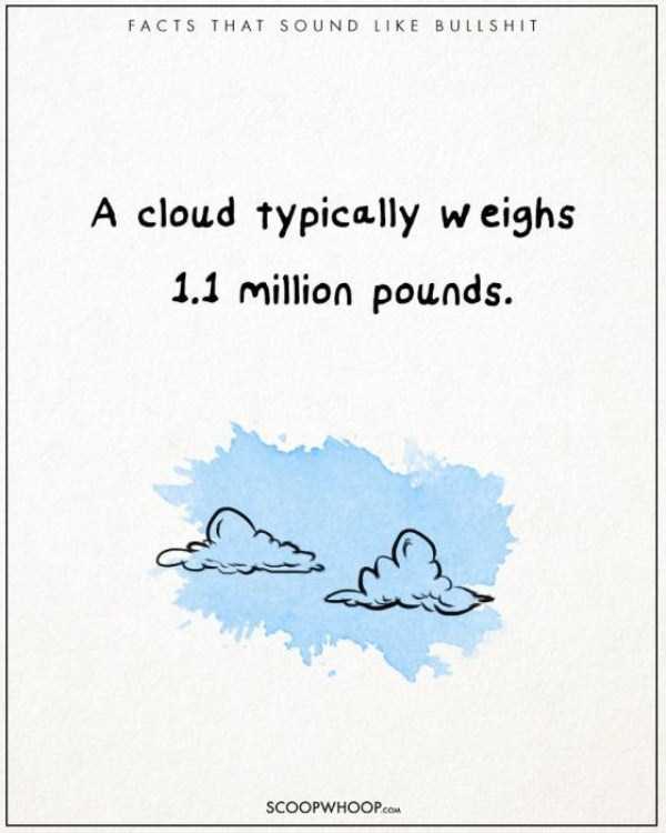 25 Facts That Sound Like Total Nonsense | KLYKER.COM