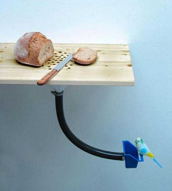 Ridiculous Inventions | KLYKER.COM