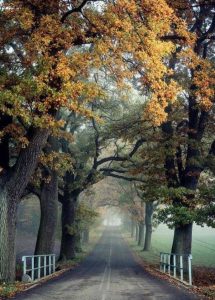 56 Amazing HD Pics That Will Please Your Eyes | KLYKER.COM