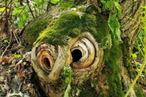 Nature Is Both Beautiful And Scary | KLYKER.COM