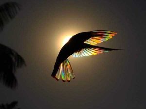 45 Perfectly Timed Photos | KLYKER.COM