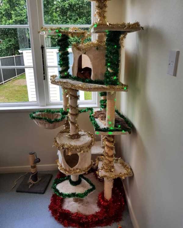 35 Unconventional Christmas Trees | KLYKER.COM