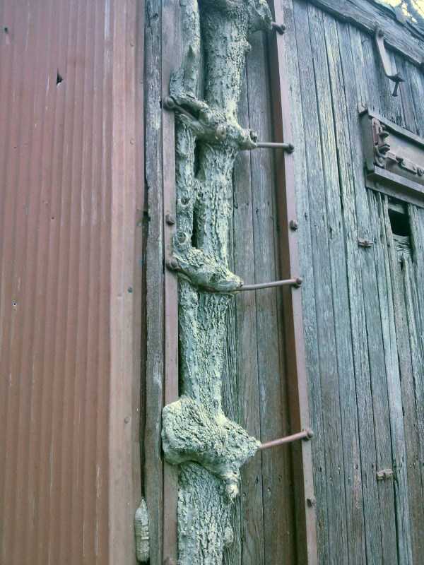 Trees Consuming Things | KLYKER.COM