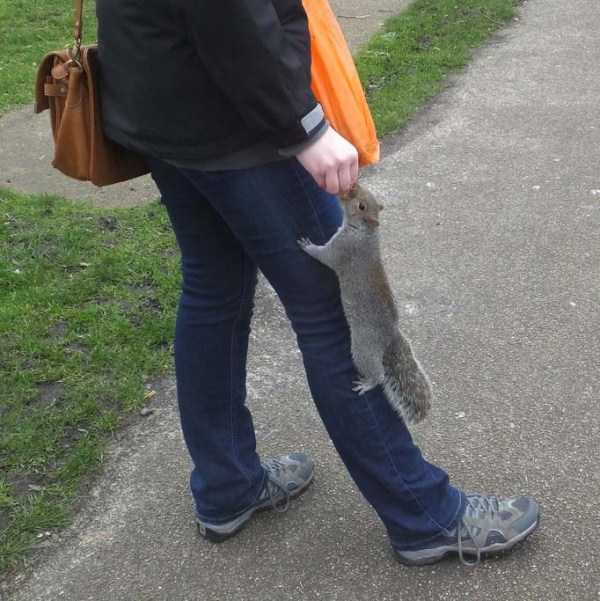 Get Ready For Funny Animals – Part 18 | KLYKER.COM