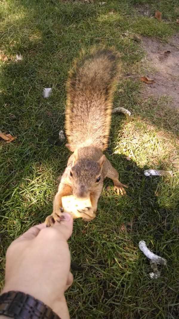 Get Ready For Funny Animals – Part 8 | KLYKER.COM