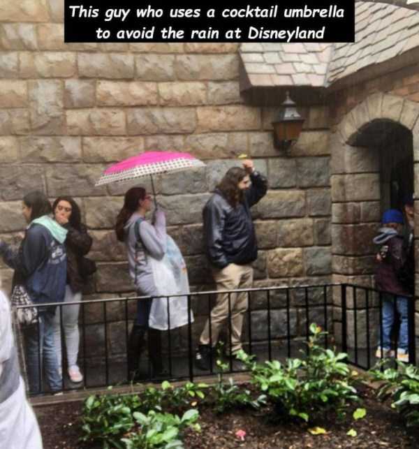 47 Random Pictures With Captions | KLYKER.COM