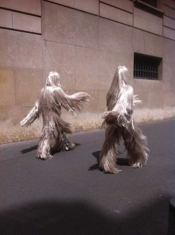 65 More WTF Photos, Because Why Not!? | KLYKER.COM