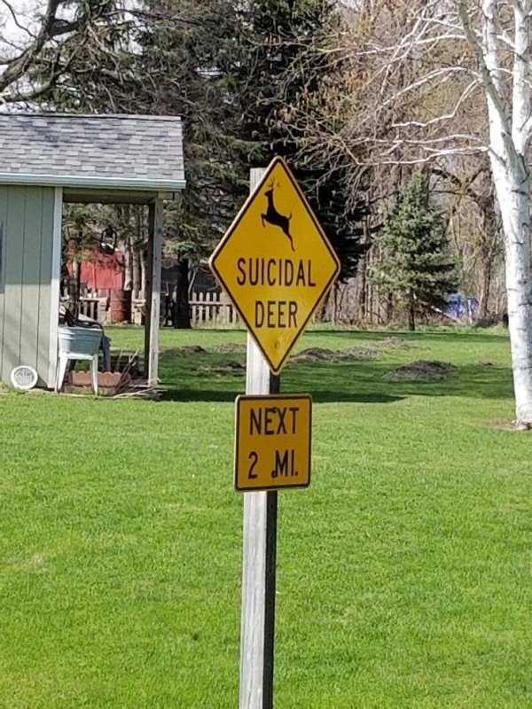35 Hilariously Baffling Signs | KLYKER.COM