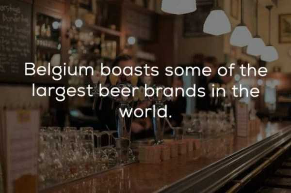 24 Cool Facts About Beer | KLYKER.COM