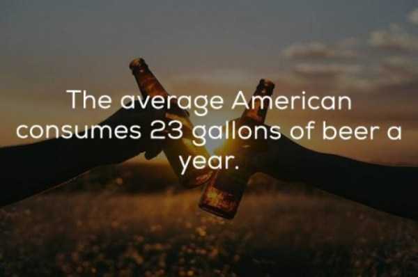 24 Cool Facts About Beer | KLYKER.COM