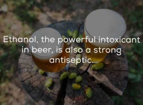 24 Cool Facts About Beer | KLYKER.COM
