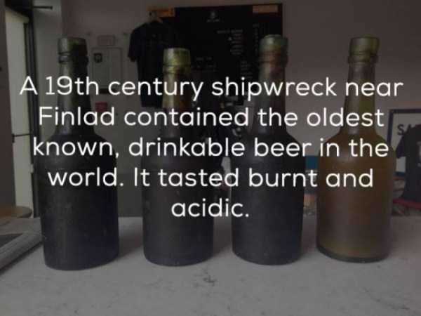 24 Cool Facts About Beer | KLYKER.COM