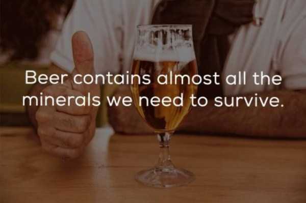 24 Cool Facts About Beer | KLYKER.COM