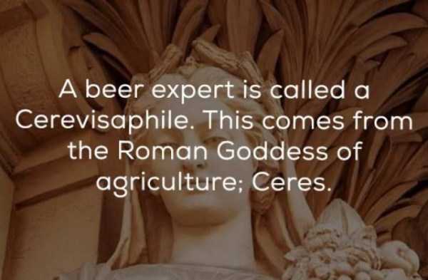 24 Cool Facts About Beer | KLYKER.COM
