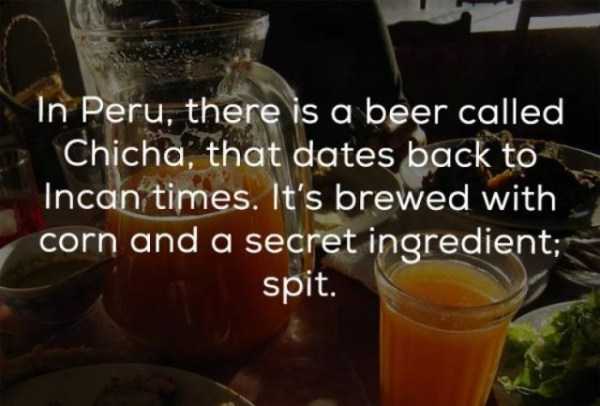 24 Cool Facts About Beer | KLYKER.COM