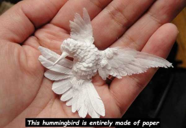 48 Random Pictures With Captions | KLYKER.COM