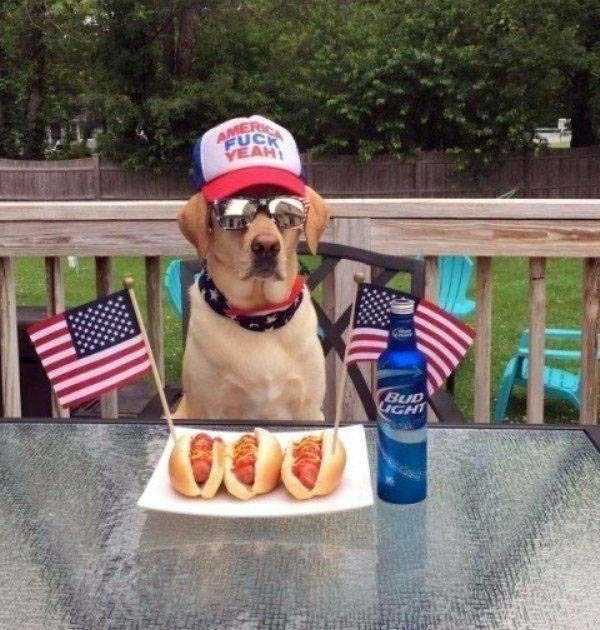 Meanwhile In America | KLYKER.COM