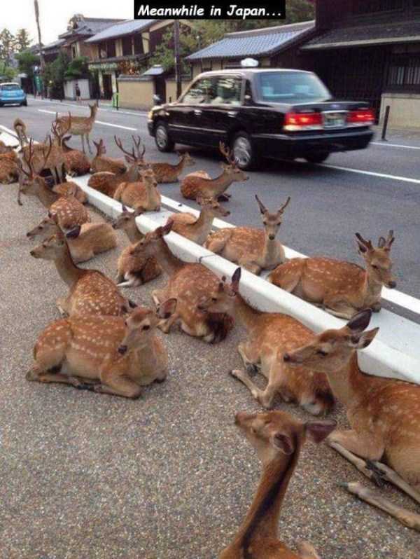 41 Random Pictures With Captions | KLYKER.COM