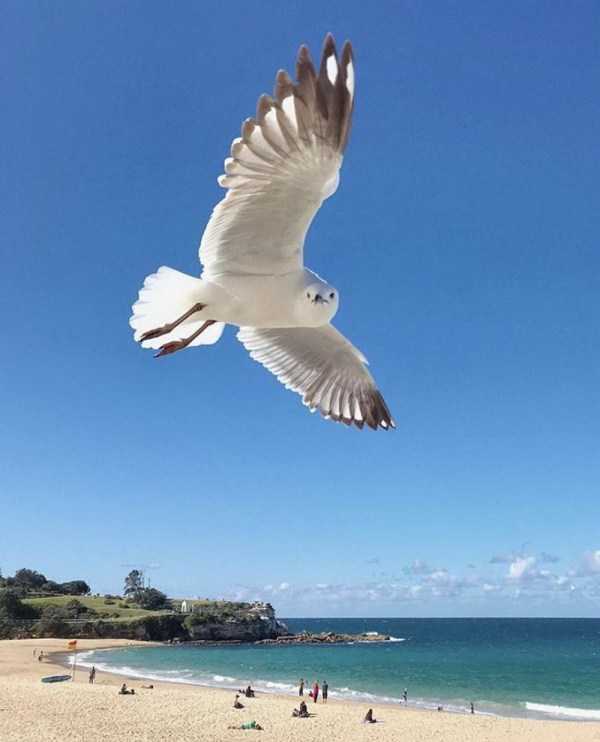 46 Perfectly Timed Photos | KLYKER.COM