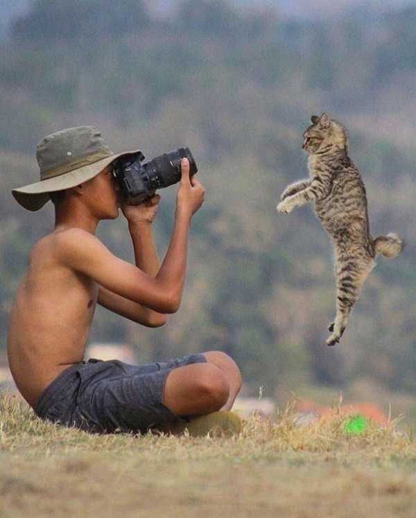 50 Perfectly Timed Photos | KLYKER.COM