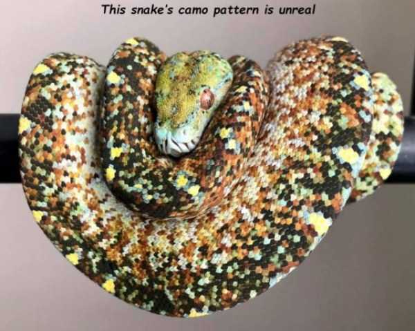 40 Random Pictures With Captions | KLYKER.COM