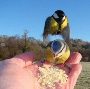 50 Perfectly Timed Photos | KLYKER.COM