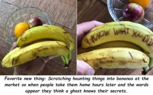 45 Random Pictures With Captions | KLYKER.COM