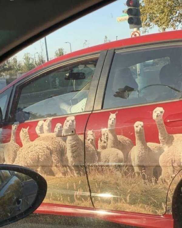 39 Crazy-Looking Cars | KLYKER.COM