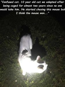 36 Random Pictures With Captions | KLYKER.COM