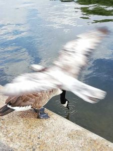 44 Perfectly Timed Photos | KLYKER.COM