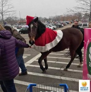 Walmart Shoppers Are... Well, Unique | KLYKER.COM